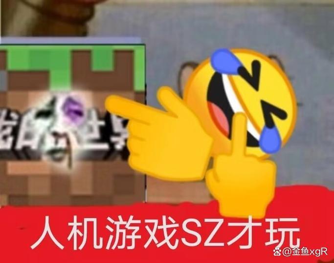 正版mc和盗版的区别图标
