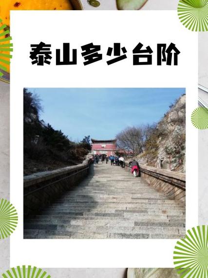 泰山小说网站入口图标