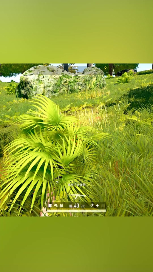 pubg小橘子直装图标