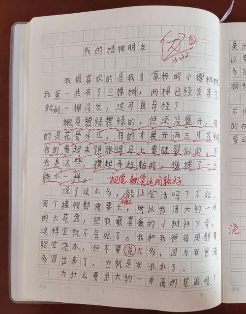 三年级范文作文300字左右图标