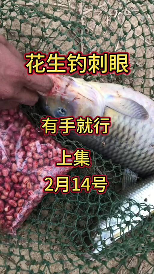 花生钓青鱼正确方法图标