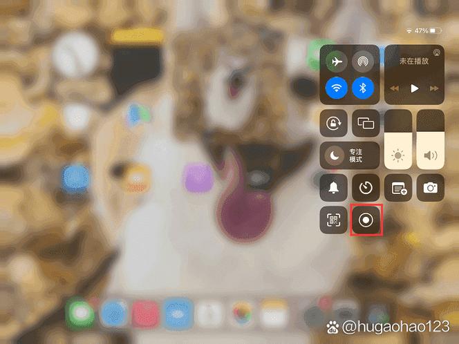 ipad免费录屏软件推荐截图