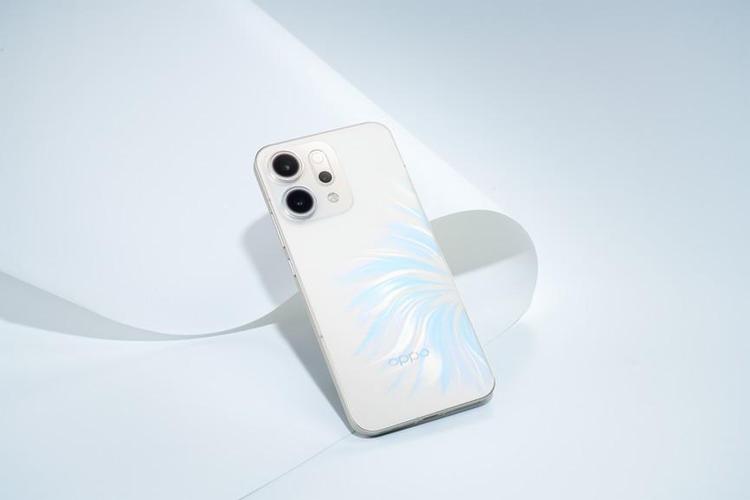 opporeno14快充协议是啥截图