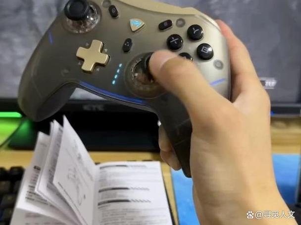 switch手柄可以热插拔吗图标