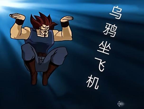 乌鸦坐飞机特殊意思图标