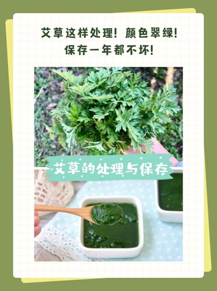 干艾草保存的正确方法图标