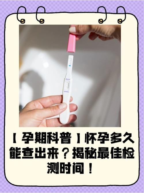 验孕棒怎么看是否怀孕图标