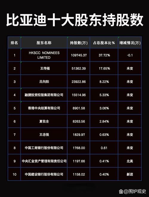 中天集团十大股东名单截图