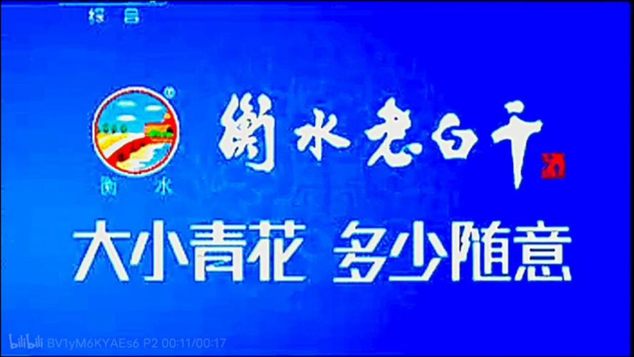 中央电视台黄金档剧场广告截图