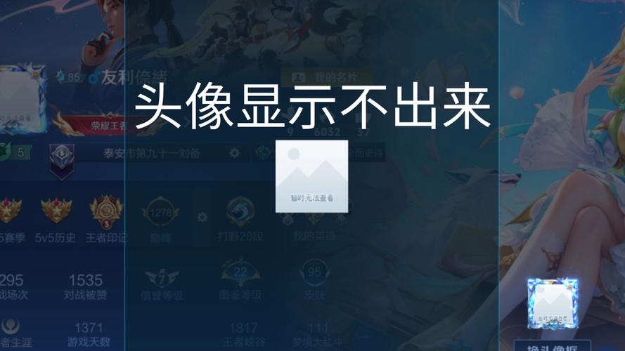 王者荣耀头像无法查看截图