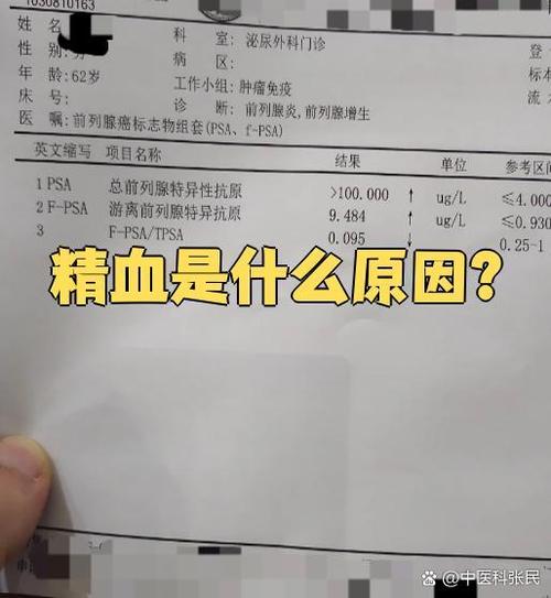什么叫精血图标