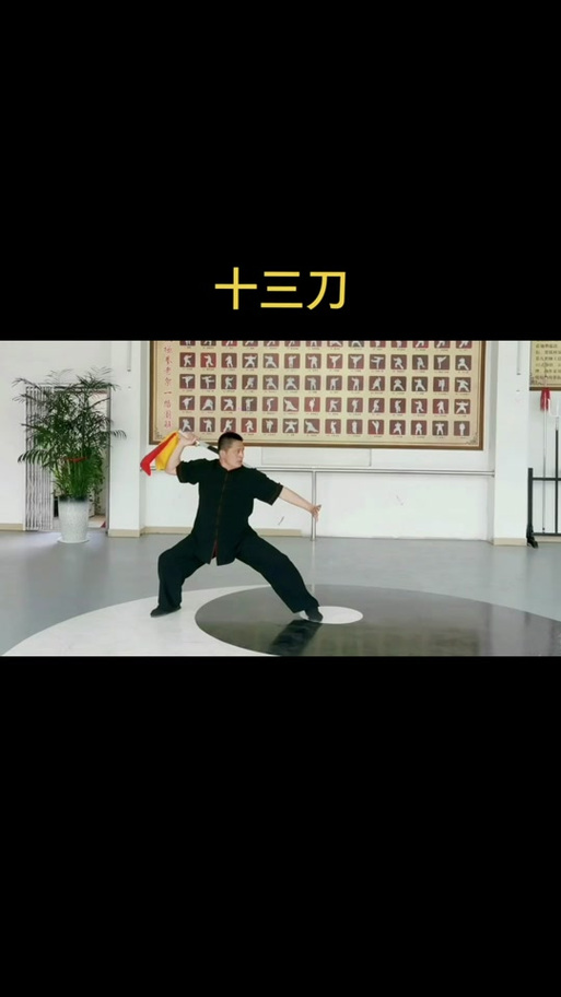 陈氏太极十三刀式教学图标