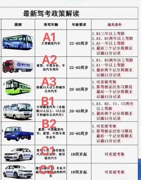 a驾照需要什么条件图标