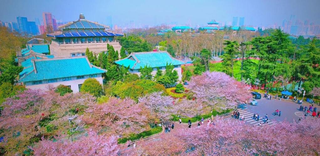武汉大学的樱花图标