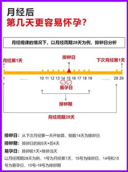大姨妈走后第几天容易怀孕图标