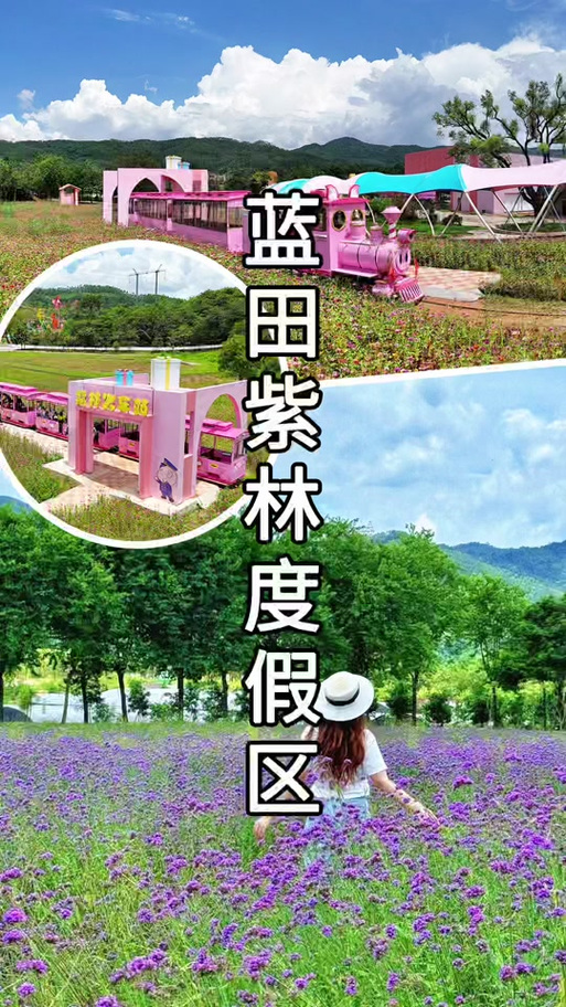 花都周边游图标