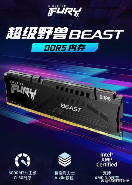 单条16g和双条8g哪个好图标