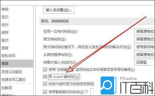 word不能ctrl v粘贴图标