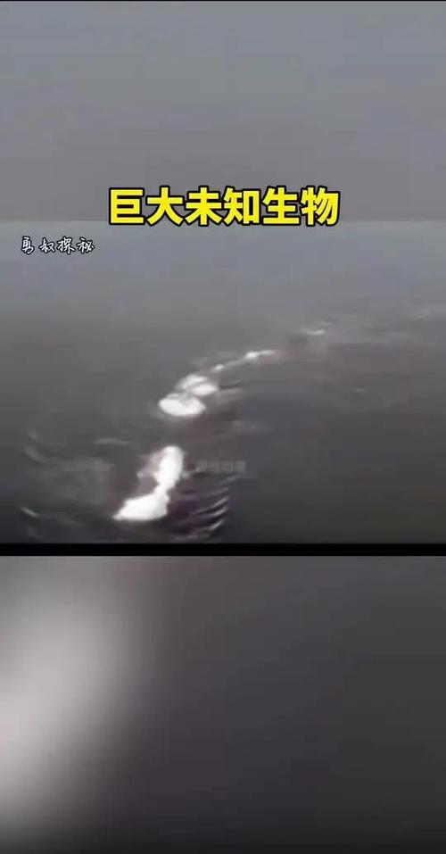 巨型不明生物图片图标