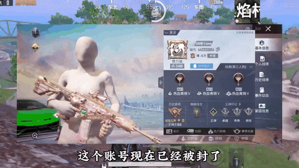 和平精英号会被盗吗图标