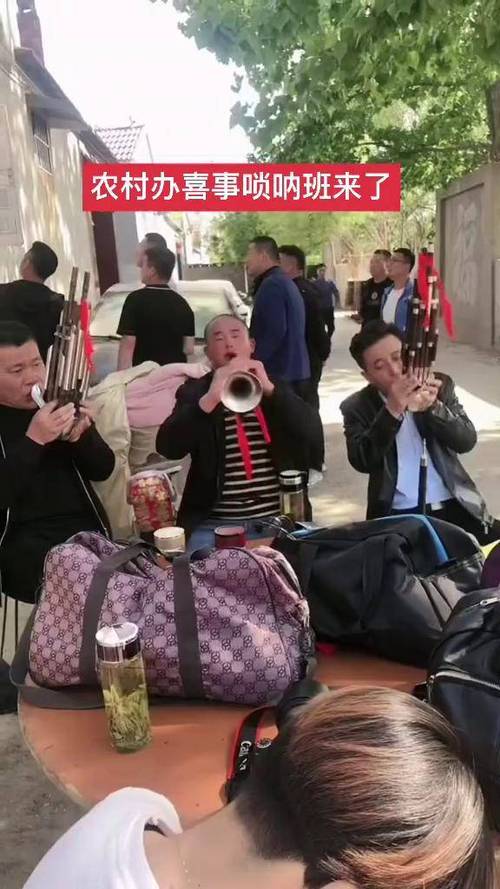 农村唢呐视频大全截图