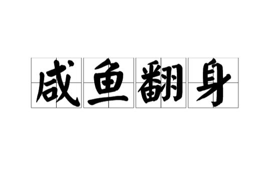 咸鱼翻身变成什么