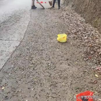 捡到东西一个月了没人找截图