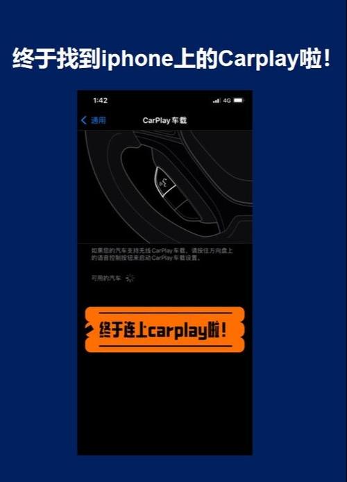 苹果怎么看carplay权限图标