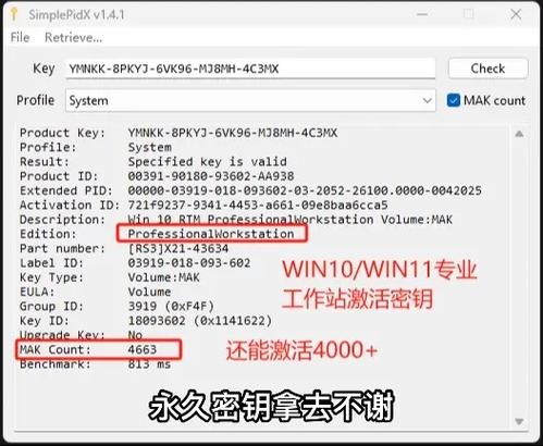 专业版怎么激活图标