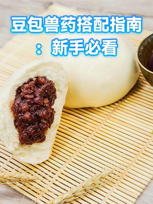 豆包的使用方法视频教程图标
