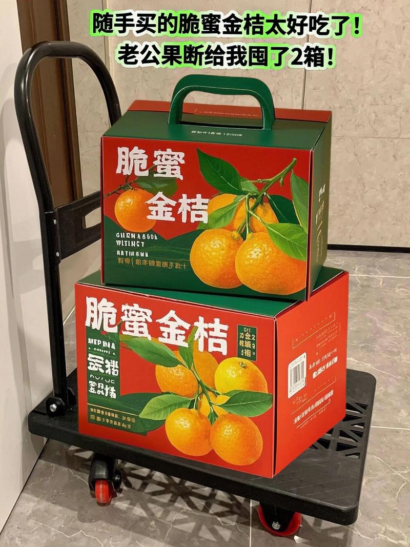 金桔汇靠谱吗图标