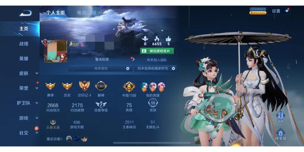 怎么看王者皮肤图标