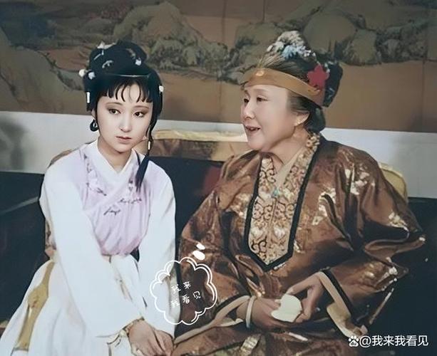 红楼之林家老祖母图标