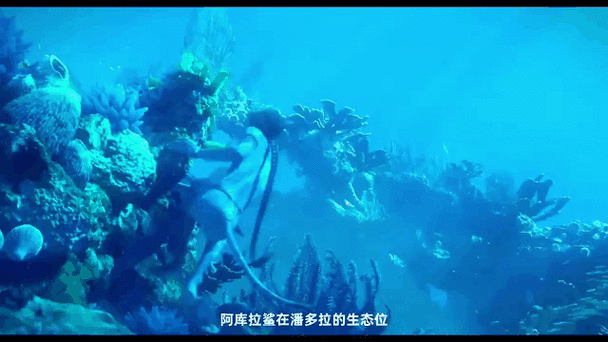 巨鲲生态是什么