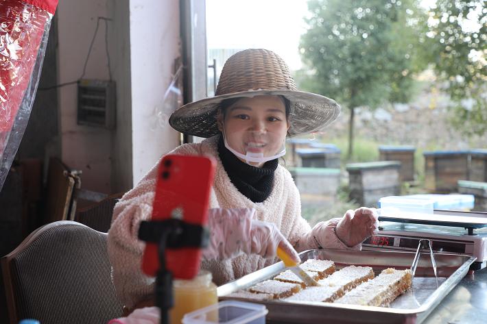 蜂蜜直播间现场直播图标