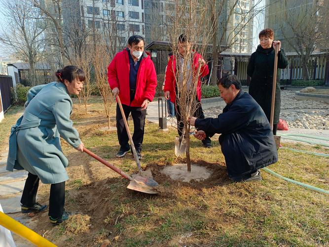 植树育人的经典佳句图标