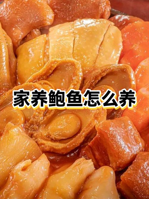 鲍鱼怎么邮寄最好