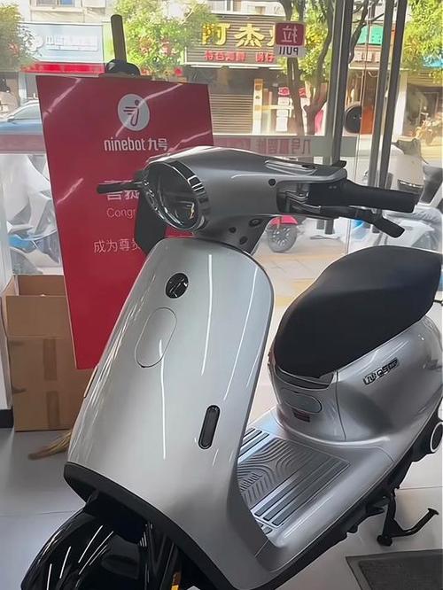 九号q85c是电摩吗图标