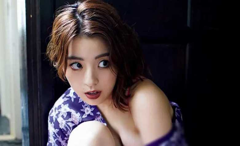 柳百合菜艺术贡献有哪些图标