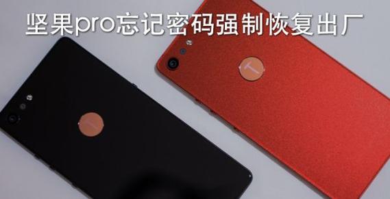 锤子手机忘记密码强制恢复出厂图标
