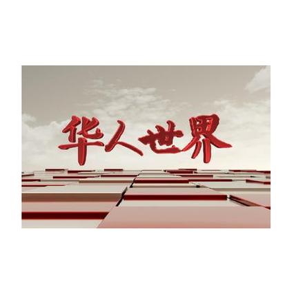 华人世界2013