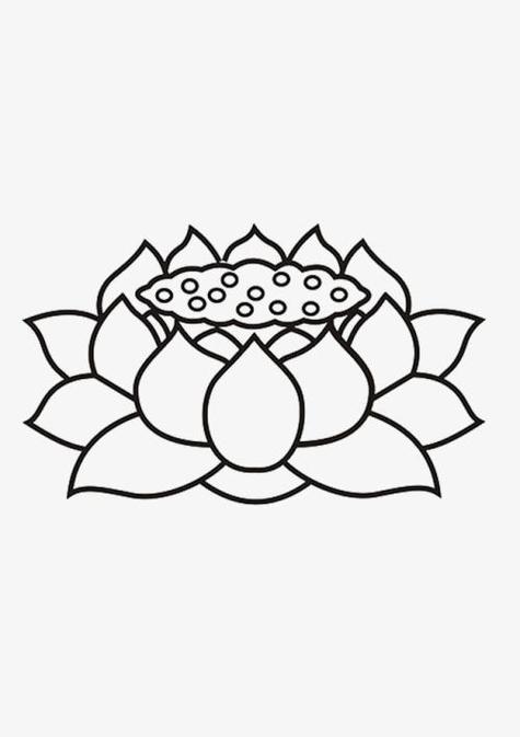 简笔画荷花截图