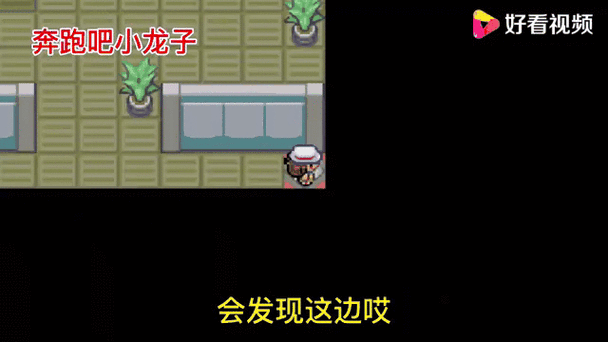 口袋妖怪永恒之炎作弊码图标