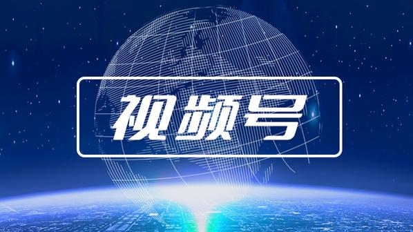 企业视频号截图