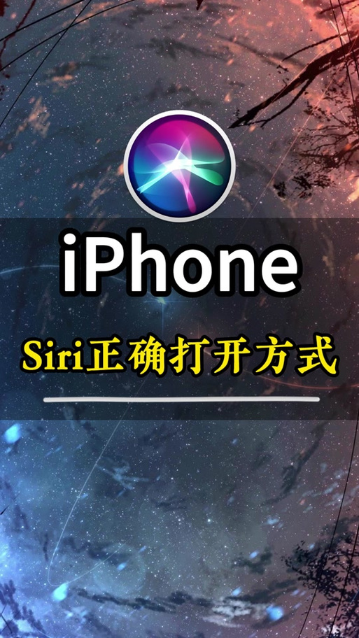苹果手机的siri在哪里打开图标