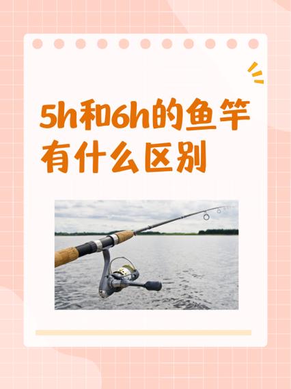 鱼竿5h6h8h是什么意思图标
