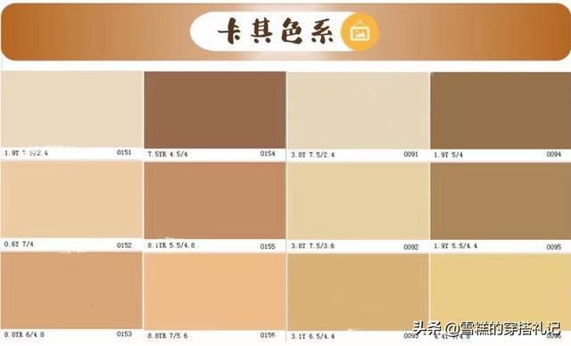 卡其色标准色卡图图标