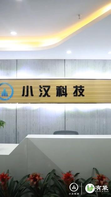 武汉小汉科技有限公司图标