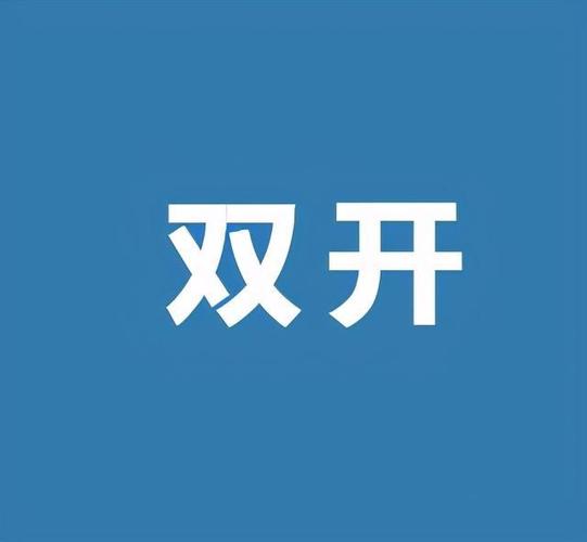 双开有什么后果