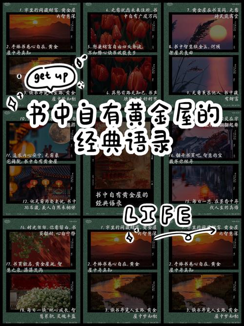 黄金书屋小说免费阅读图标